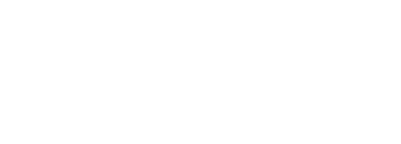 Partners & Interfaces | qnips